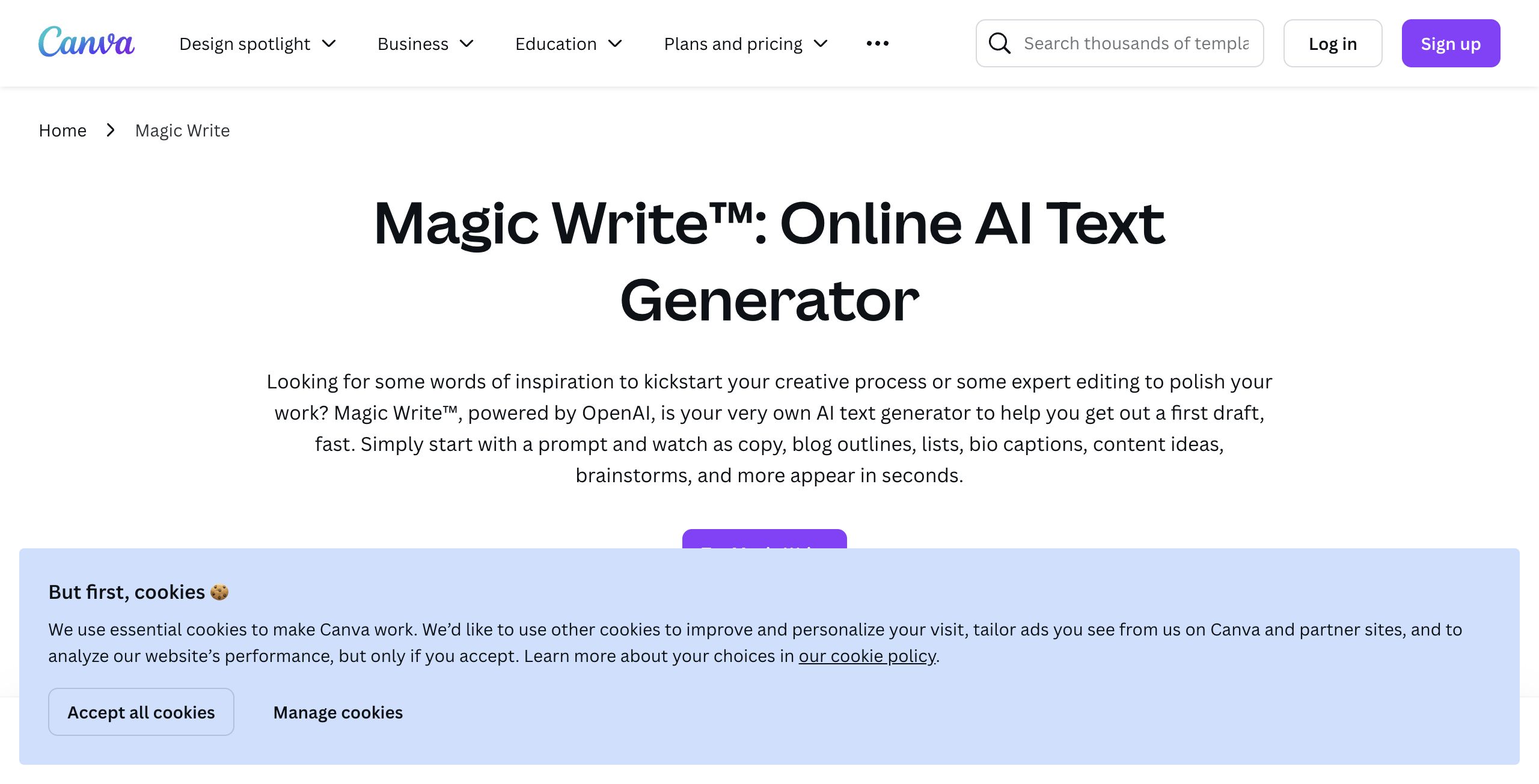 Canva Magic Write